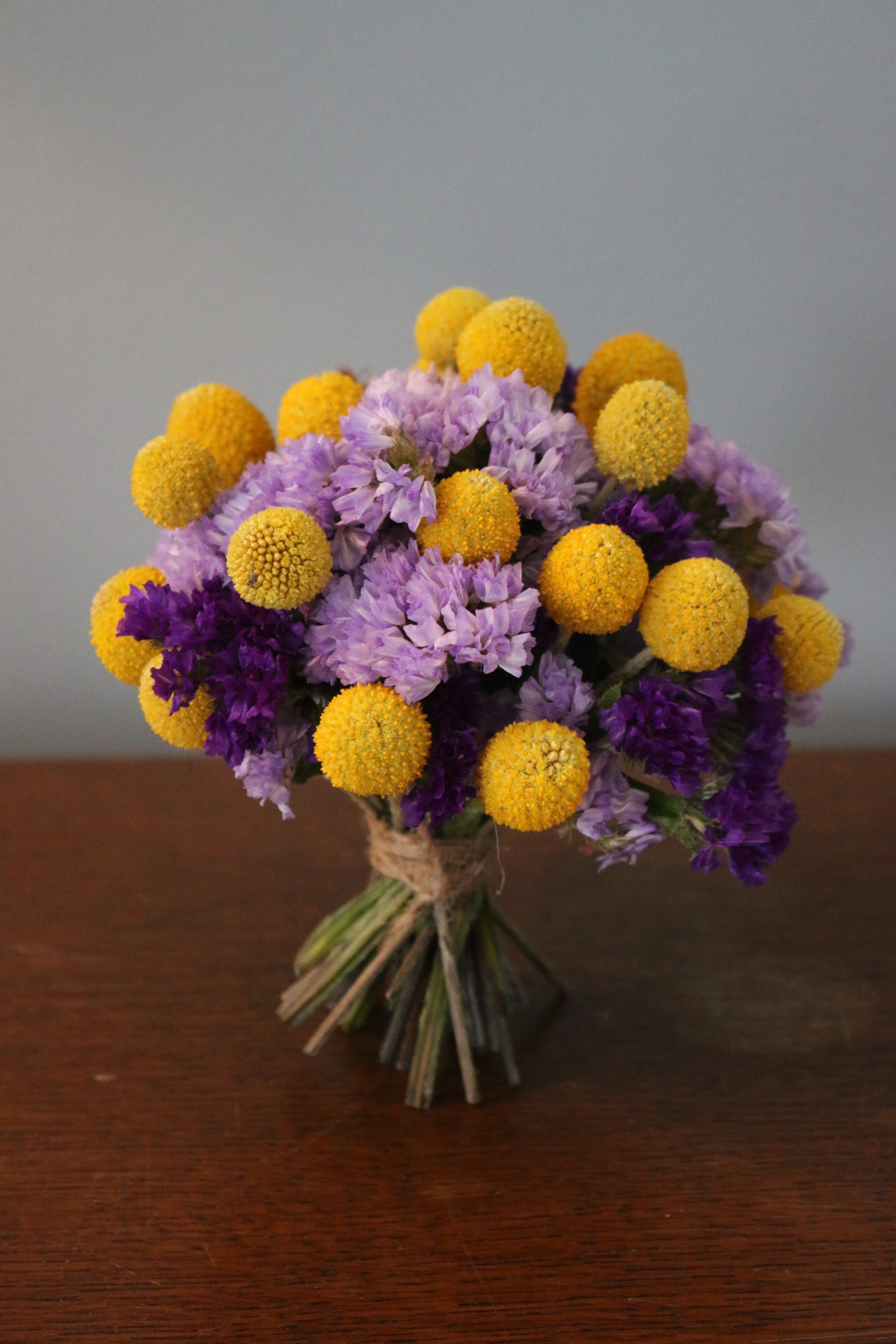 Wat kan je zaaien? Craspedia (Craspedia globosa) ⋆ plukbloem.nl